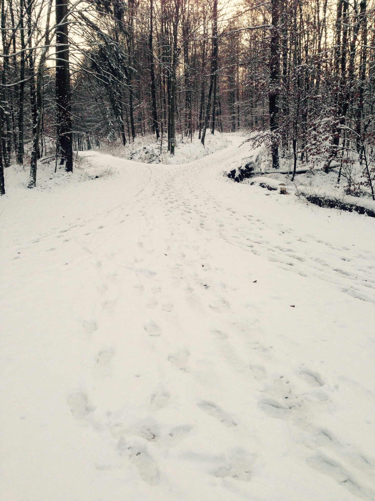 Winterwonderland in Metzingen | baumann-accessories